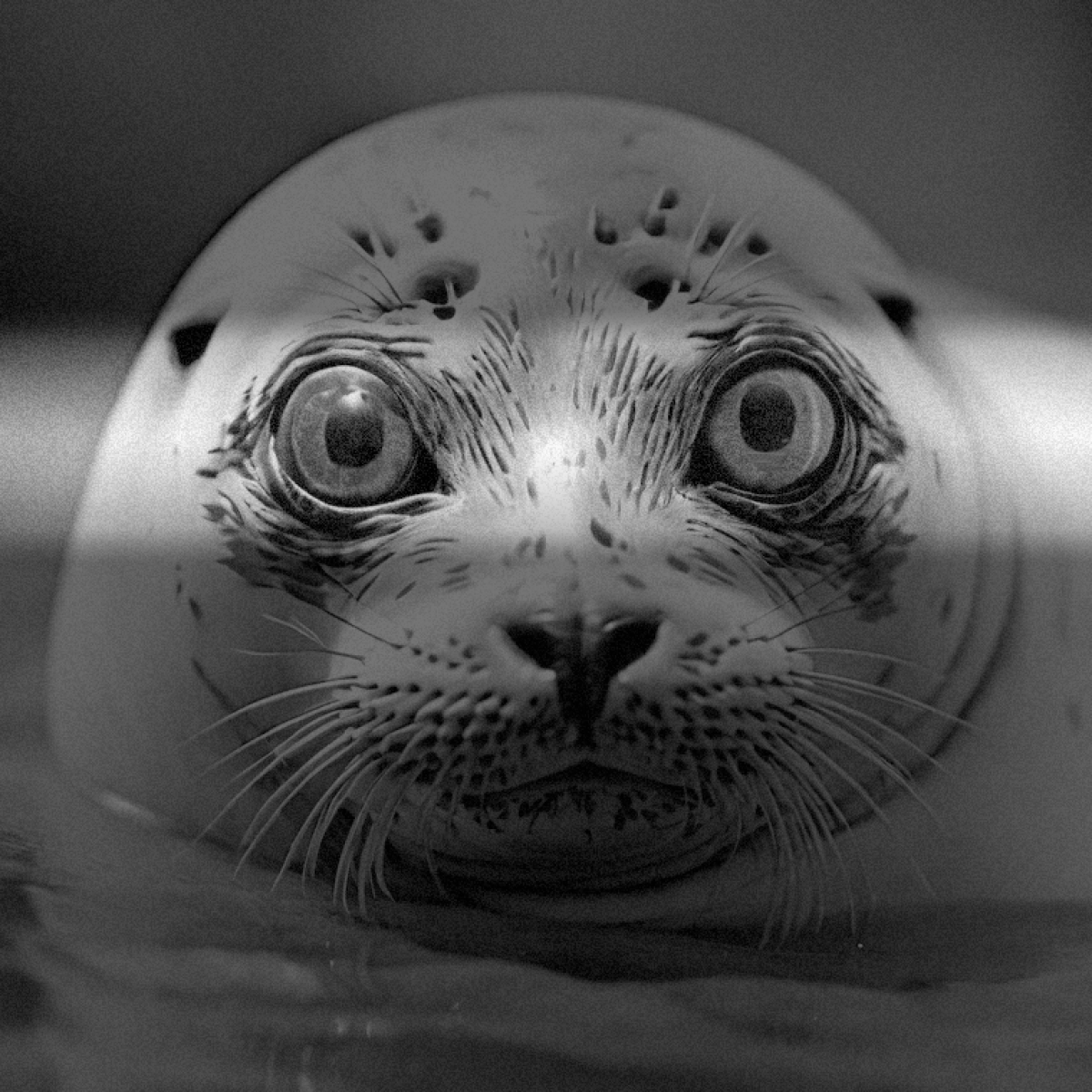 Ep 6 – Mel’s Hole – Part 3 – Probably Cursed Podcast